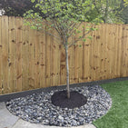 Rubber Tree Ring 3 Pack — Material Warehouse